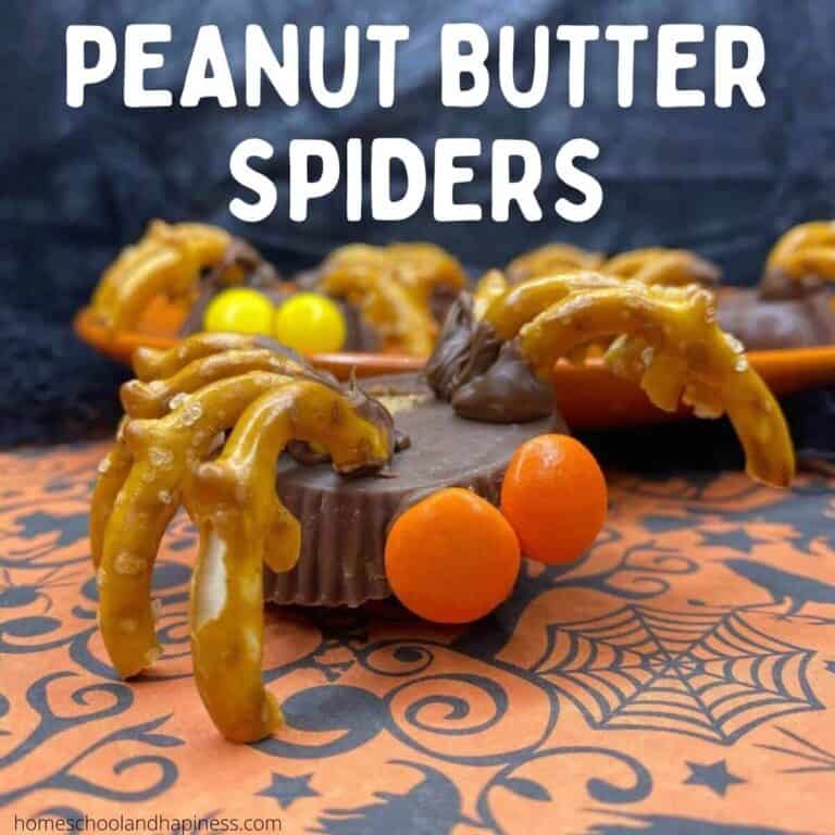 Peanut Butter Cup Spiders Recipe for Halloween