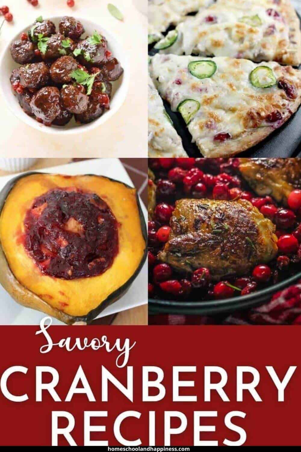 Savory Cranberry Recipes That You Wont Regret Trying