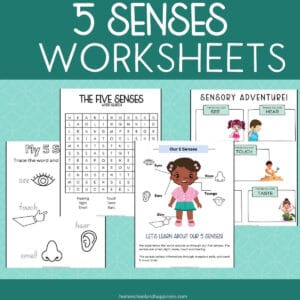 Free 5 Senses of the Body Printable Worksheets for Kids