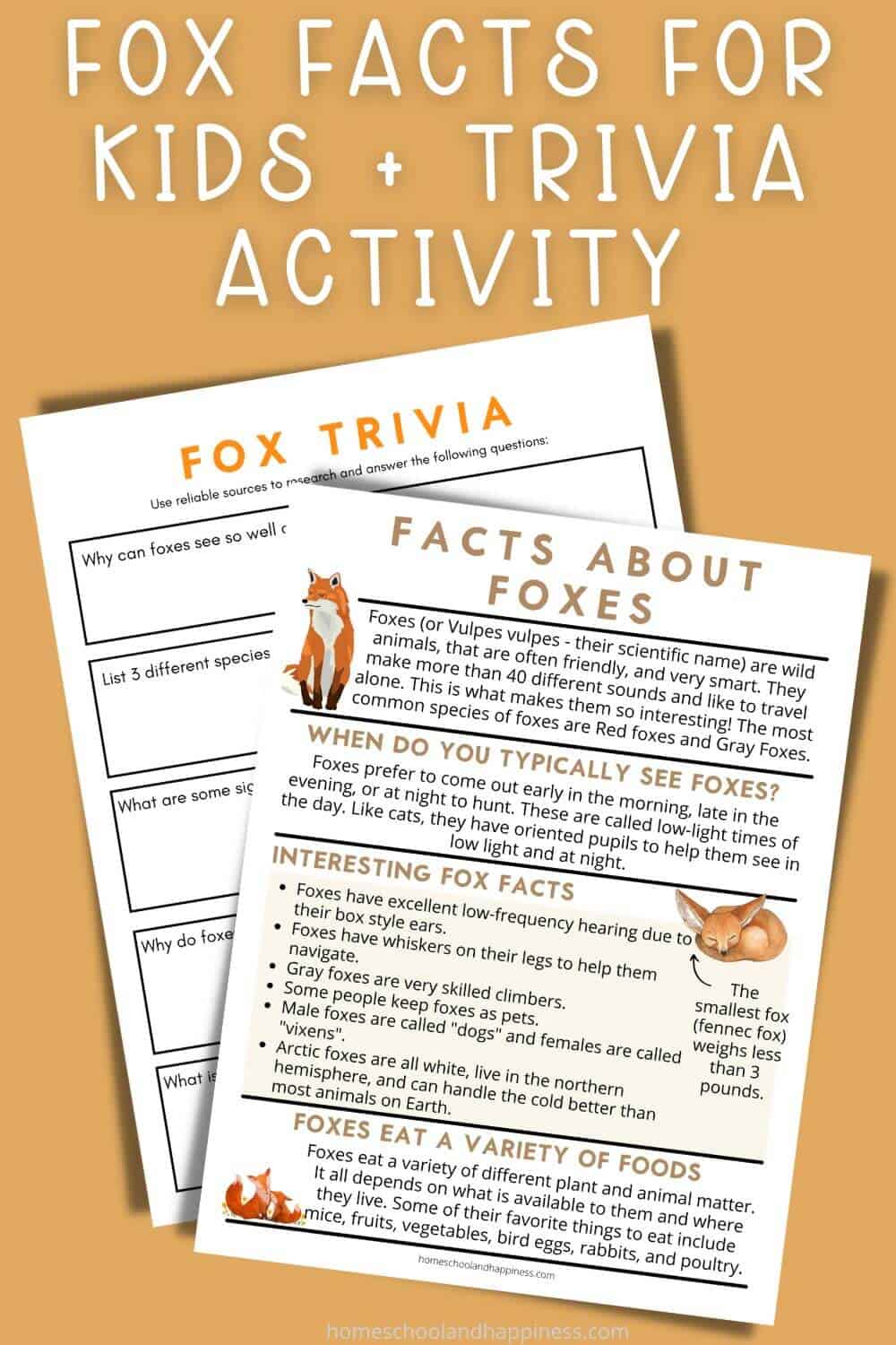 12 Facts About Foxes for Kids + Free Printable Activity