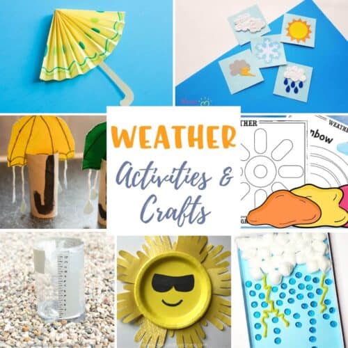 20+ Amazing Egg Carton Crafts for Kids