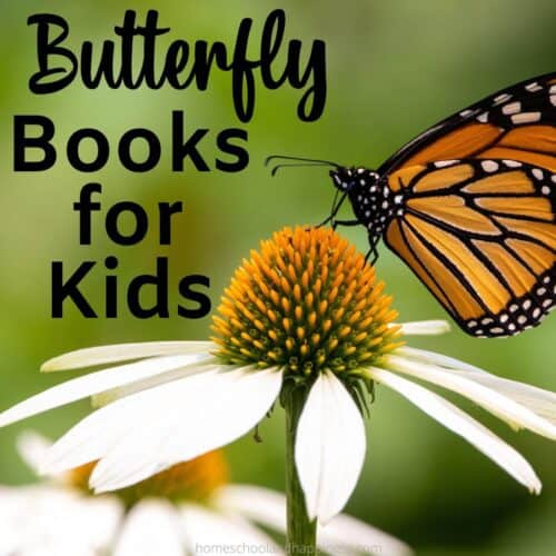 18 Great Butterfly Books for Kids + Books About Caterpillars