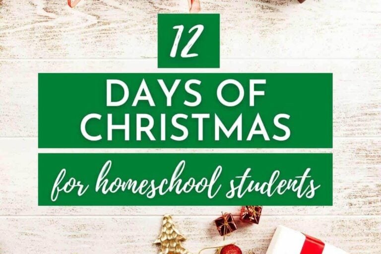 Fun 12 Days of Christmas Activities for Homeschoolers