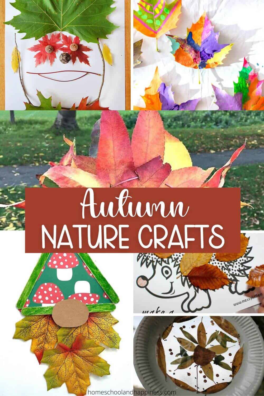 10+ Autumn Nature Crafts for Kids