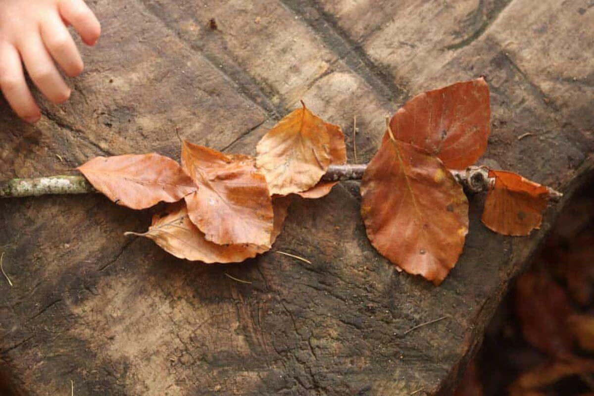 15 Fun Autumn Nature Crafts for Kids