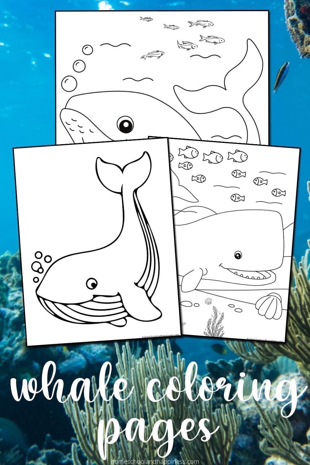 3 Free Printable Whale Coloring Pages for Kids