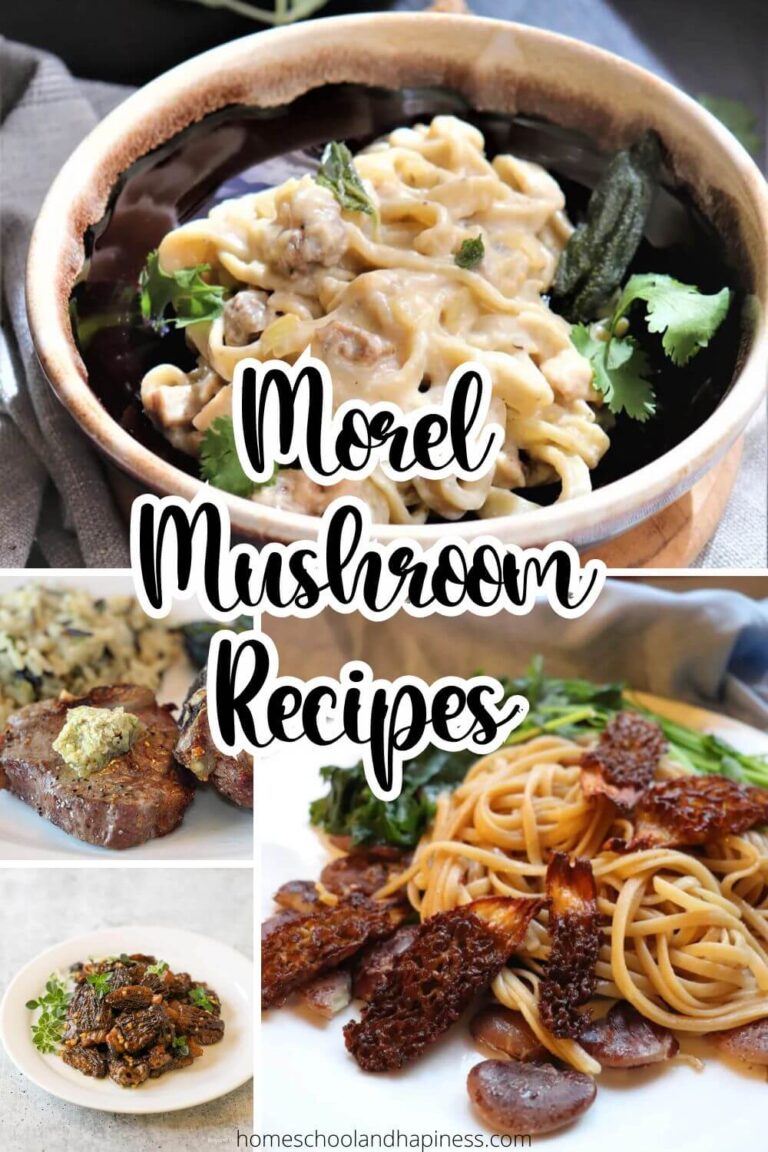 5 Easy & Delicious Morel Mushroom Recipes to Make