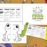 Fun Frog Life Cycle Fold Out Activity - The 4 Stages
